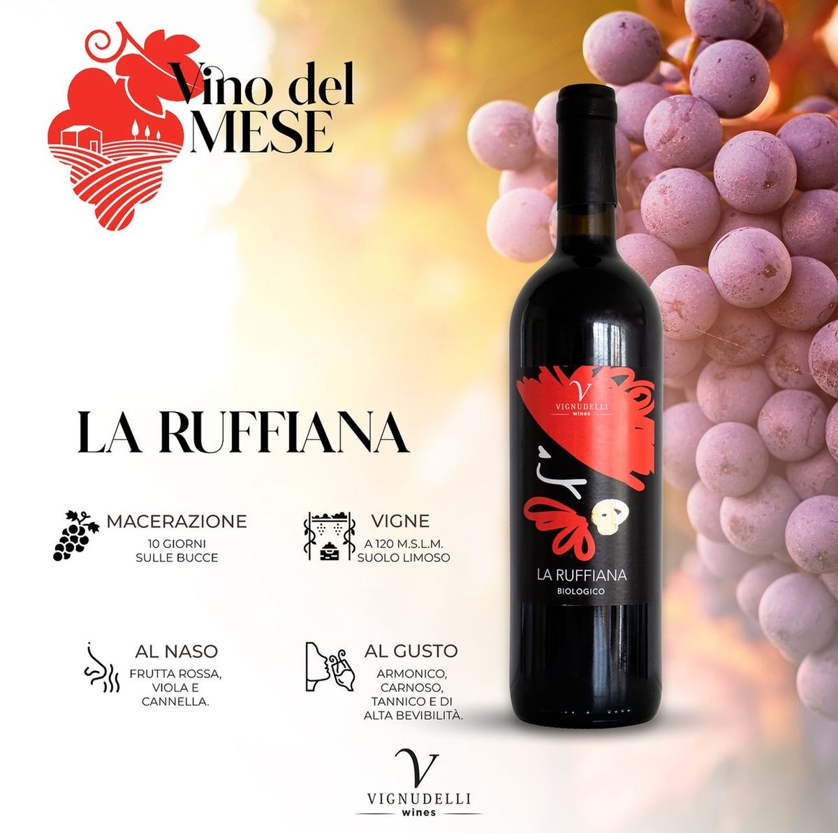 LA RUFFIANA/Sangiovese Superiore di Romagna DOC BIO – Vignudelli Wines